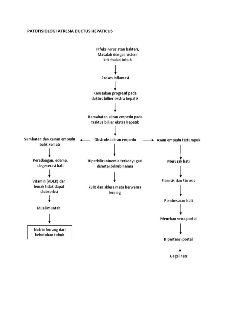 Patofisiologi Atresia Ductus Hepaticus | PDF