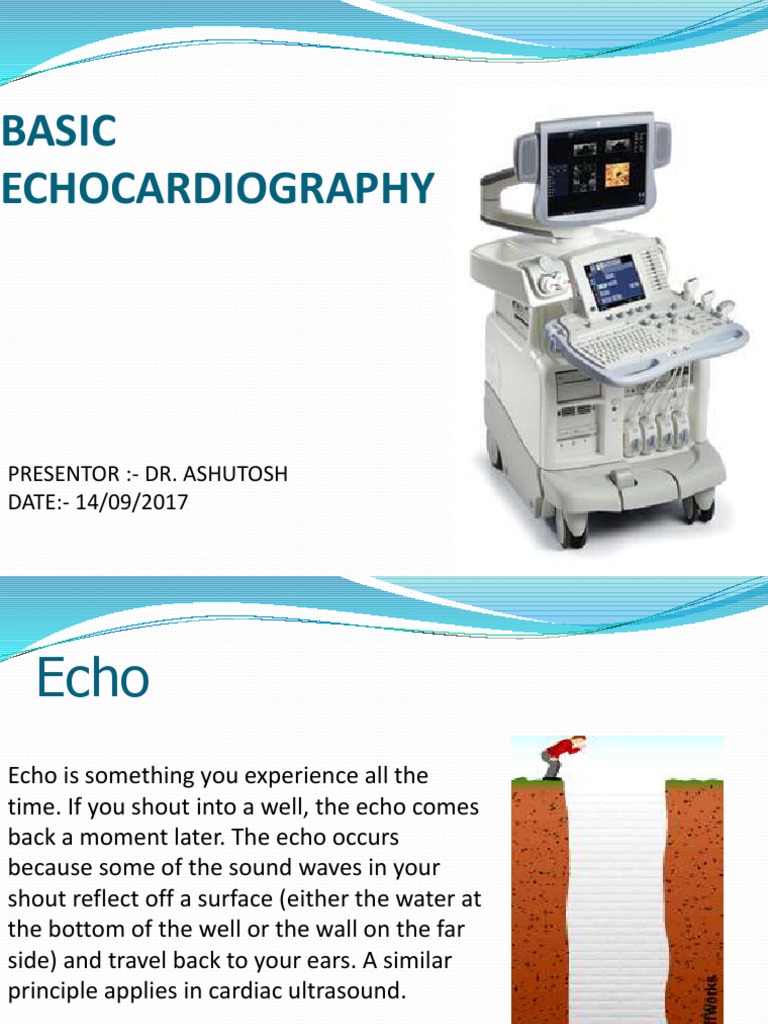 Basic Echocardiography | PDF | Echocardiography | Medical Ultrasound