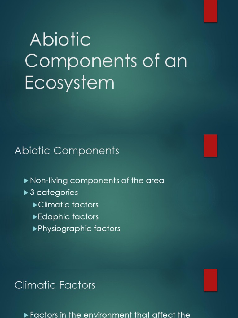 Components of An Ecosystem | PDF