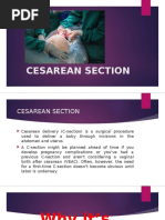 Operating Room Instruments | PDF