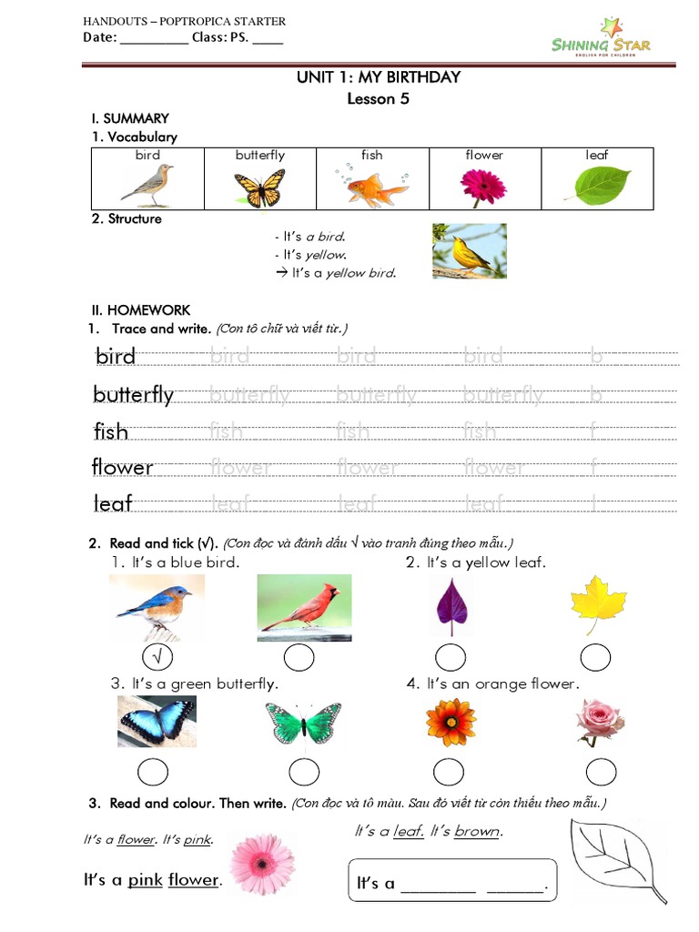 SS PS Handouts U1L5 | PDF
