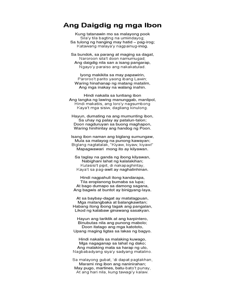Ang Daigdig Ng Mga Ibon