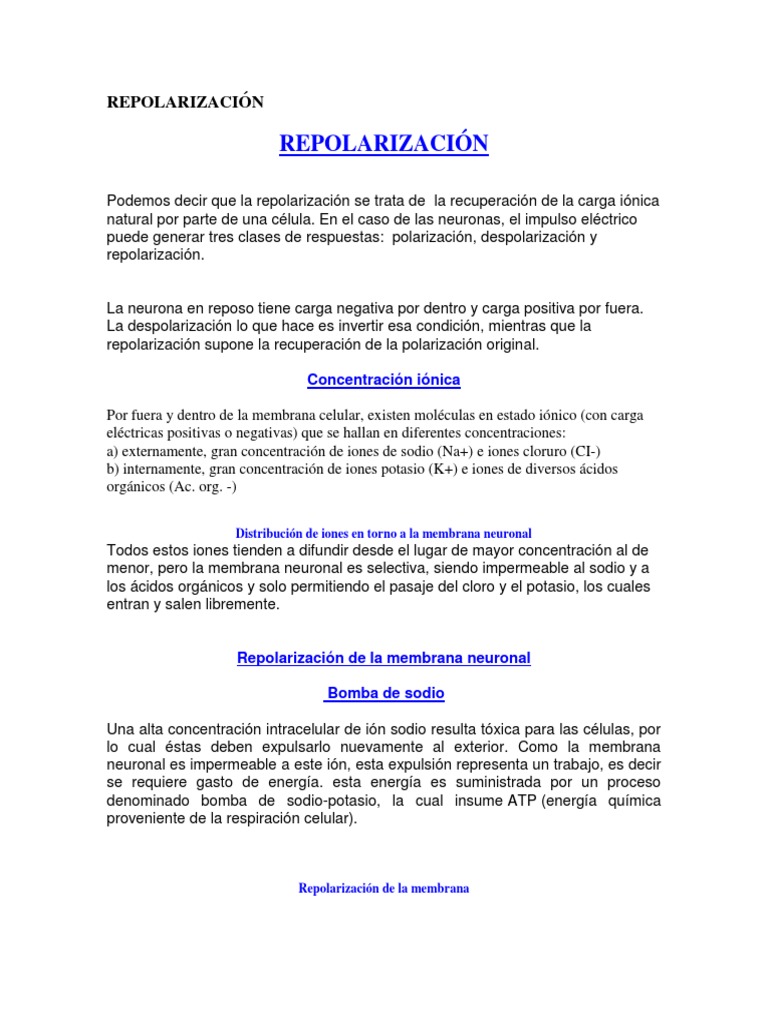 REPOLARIZACIÓN | PDF | Potencial de acción | Neurona
