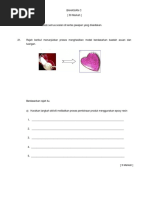 Buku Teks RBT Tingkatan 1 | PDF