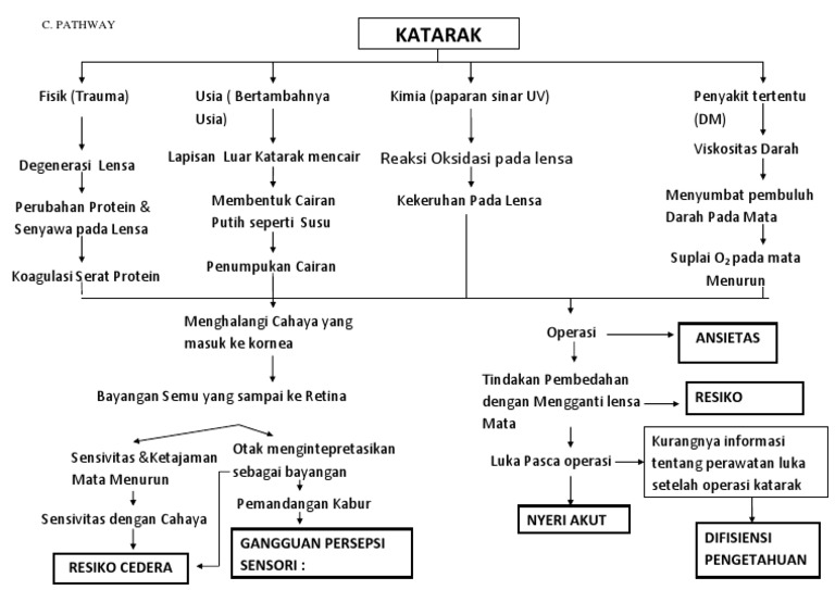 Pathway Katarak | PDF