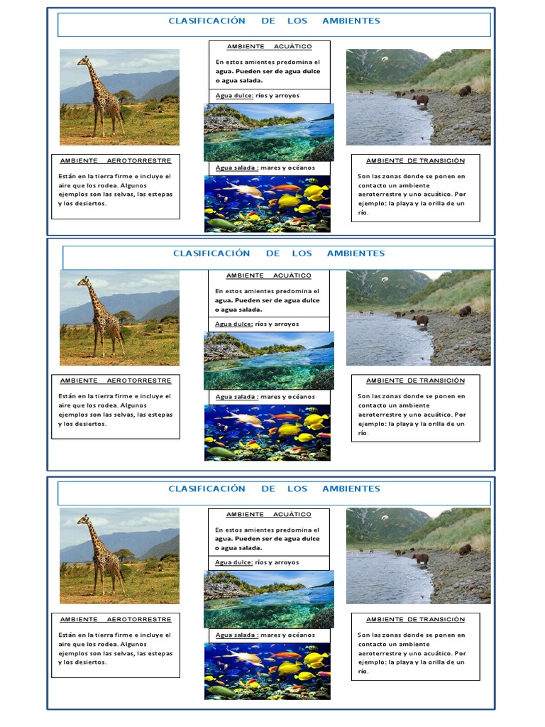 Clasificación de Ambientes Naturales | PDF | Agua dulce | Desierto