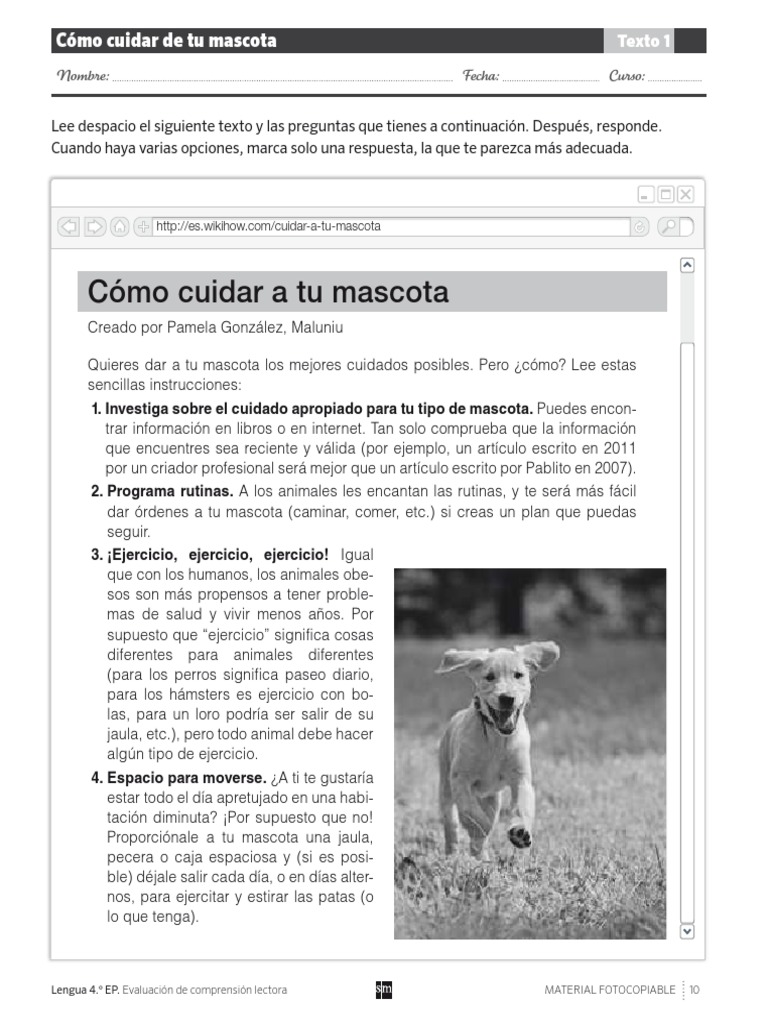 COMPRENSIÓN LECTORA | Dinosaurios | Mascota | Prueba gratuita de 30 ...