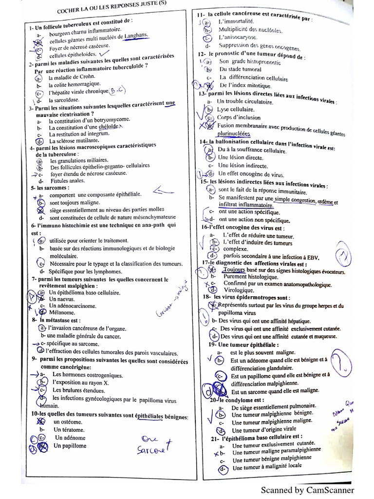 Anapath 2 Plus | PDF