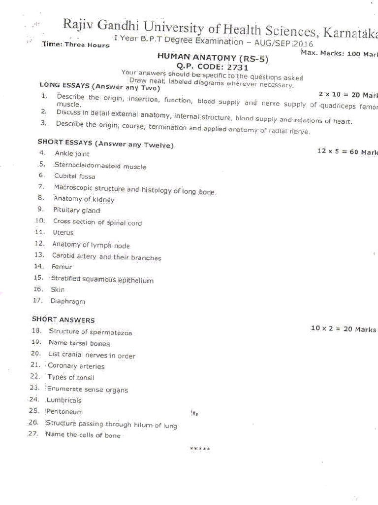 BPT Question Papers 2016 | PDF