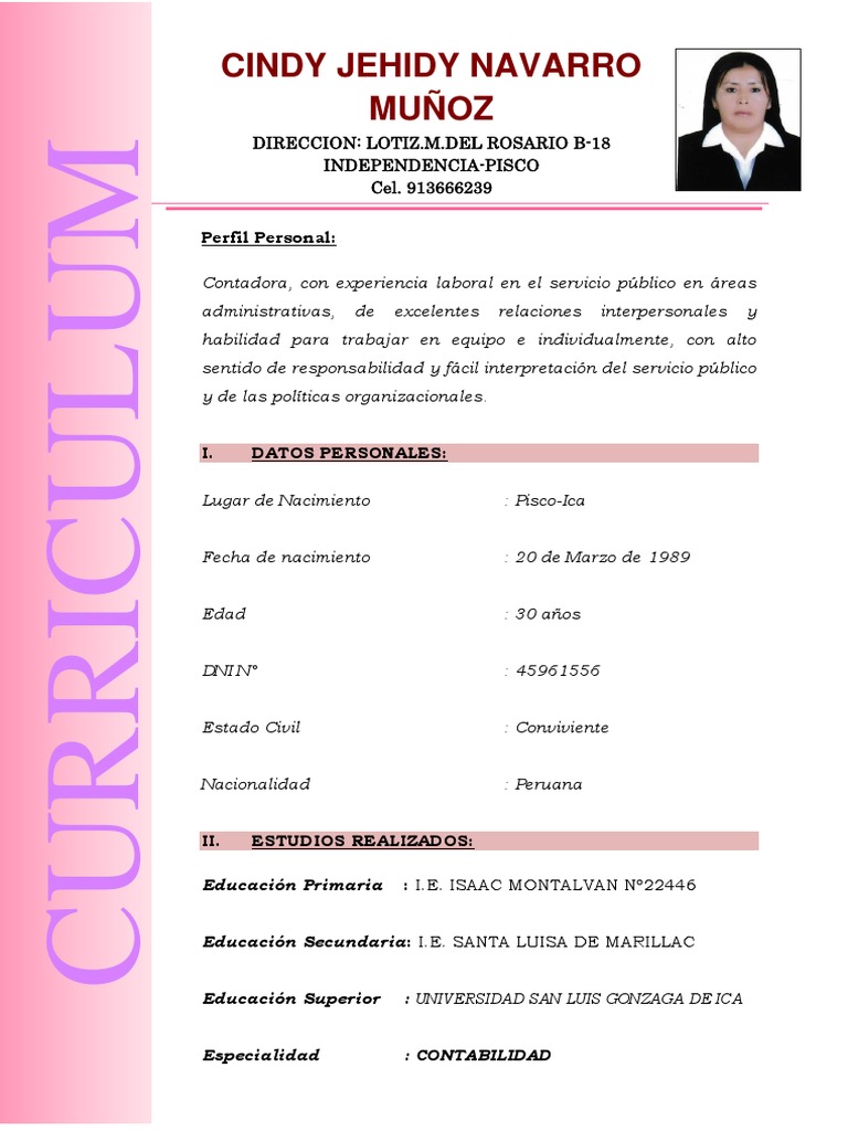 CV Contadora | PDF | Contador | Contabilidad y Auditoria