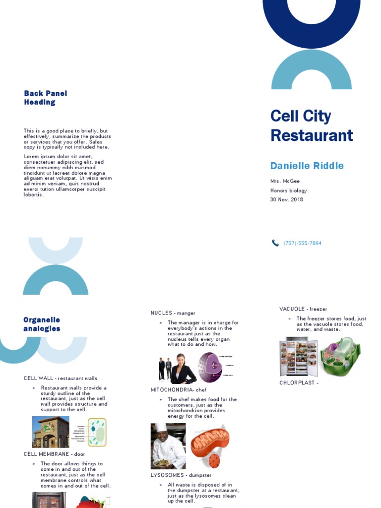 Cell City Restaurant: Danielle Riddle | PDF | Histology | Cell (Biology)