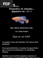 Practica 2 - Funcion Si Complementaria | PDF