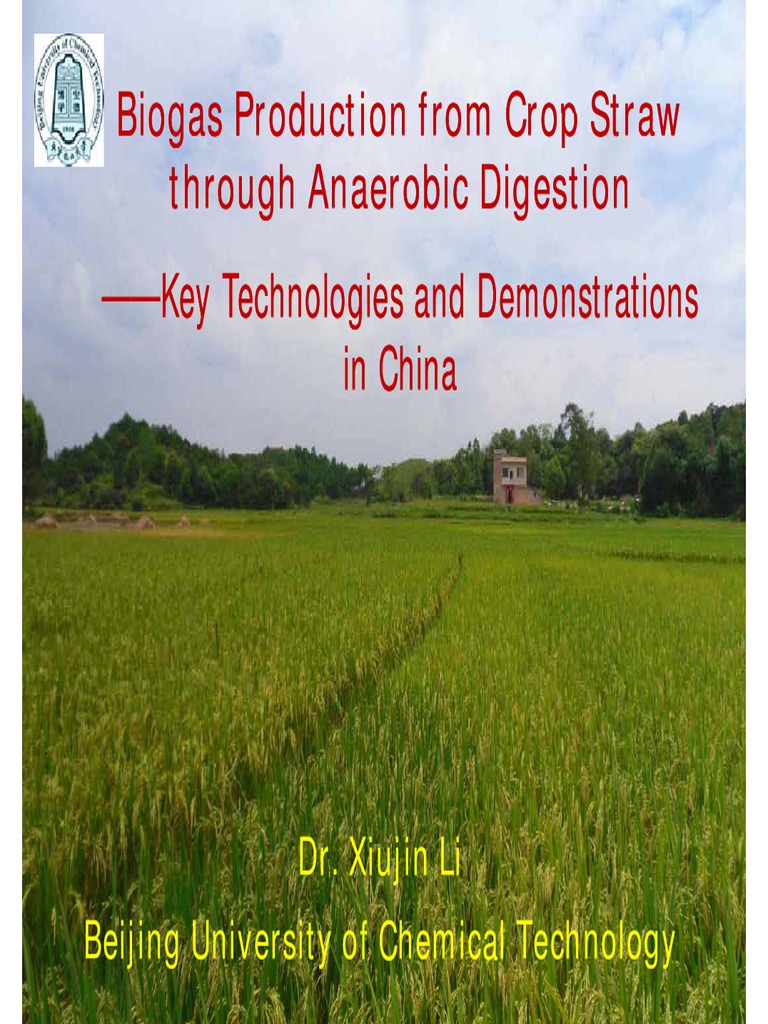 Biogas Production From Crop Straw Through Anaerobic Digestion | PDF ...
