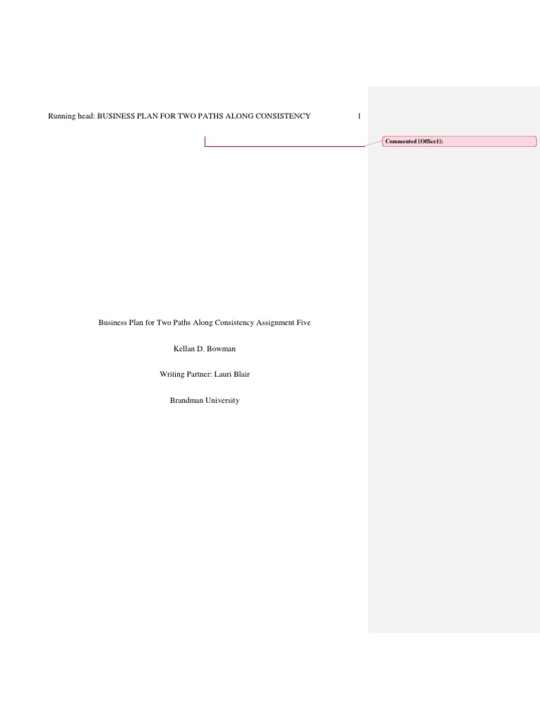 Business Plan BUSU 640 Assignment 5 | PDF | Goodwill (Accounting ...