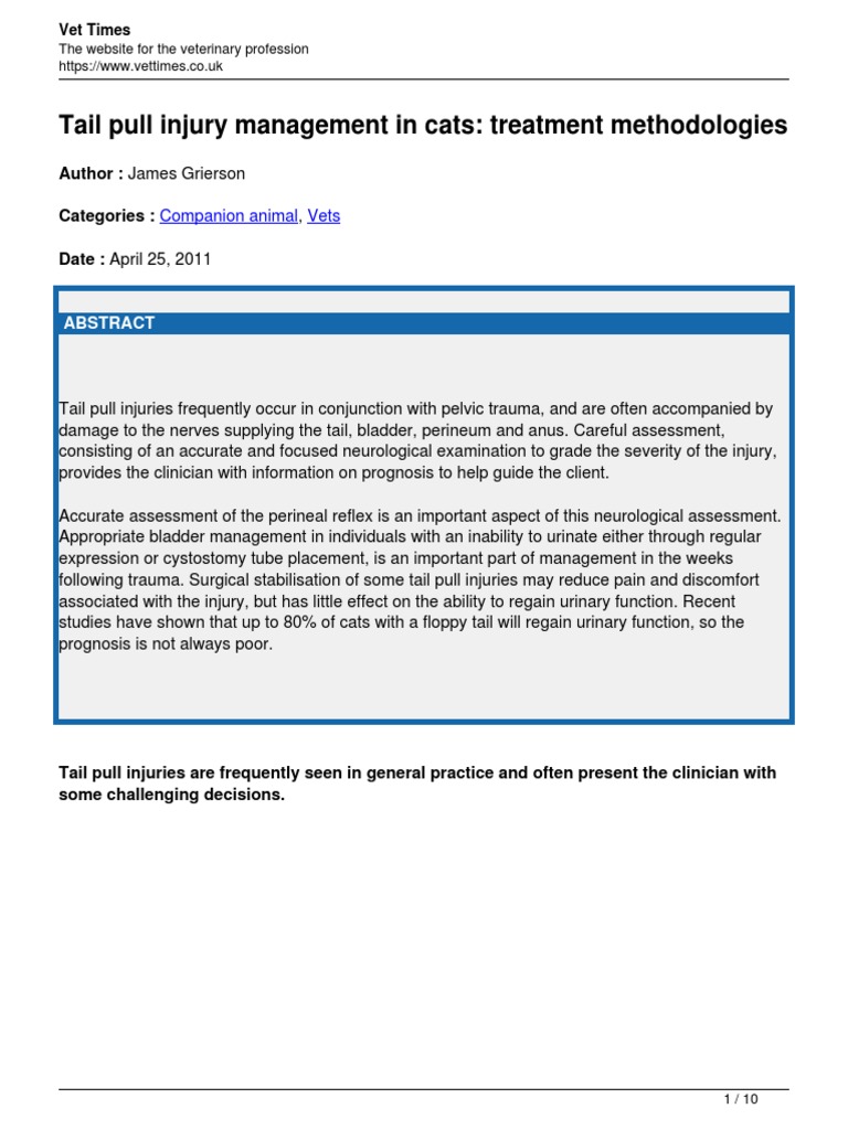 Tail pull injury treatment in cats | PDF | Urinary Incontinence ...