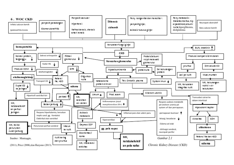 6 - Woc CKD: Sklerosis Siskemik | PDF | Organ (Anatomy) | Genitourinary System