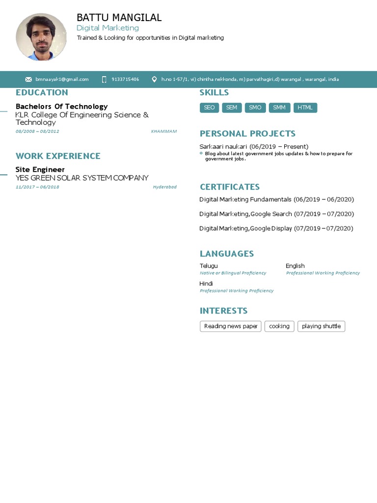 Digital Marketing Professional Profile | PDF
