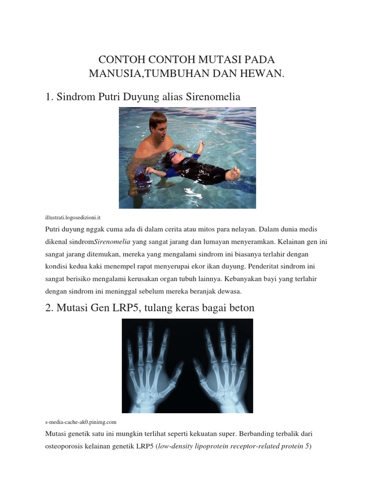 Contoh Mutasi | PDF