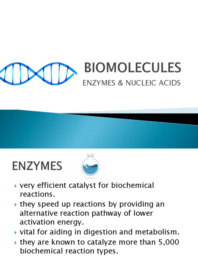 Enzymes and Nucleic Acids Overview | PDF | Enzyme | Rna