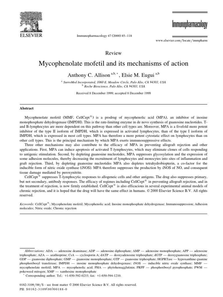 Mycophenolate Mofetil and Its Mechanisms of Action: Review | PDF ...
