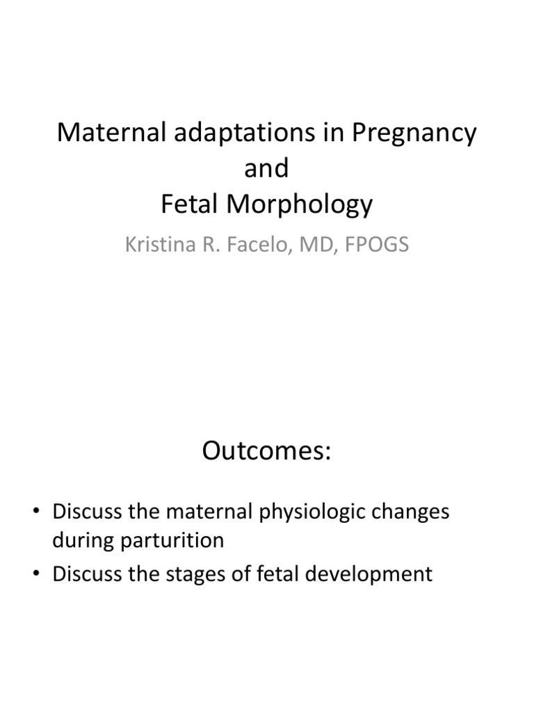 Maternal Adaptations in Pregnancy and Fetal Morphology | PDF ...