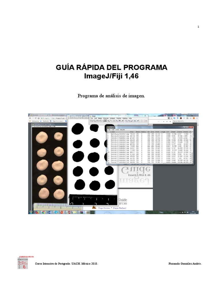 Guia Rapida para Usar ImageJ PDF | PDF | Informática | Software