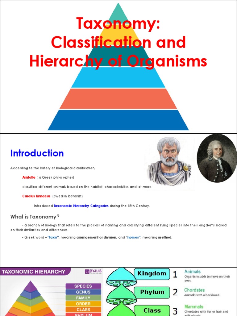Taxonomic Hierarchy of Organisms | PDF | Taxonomy (Biology) | Species