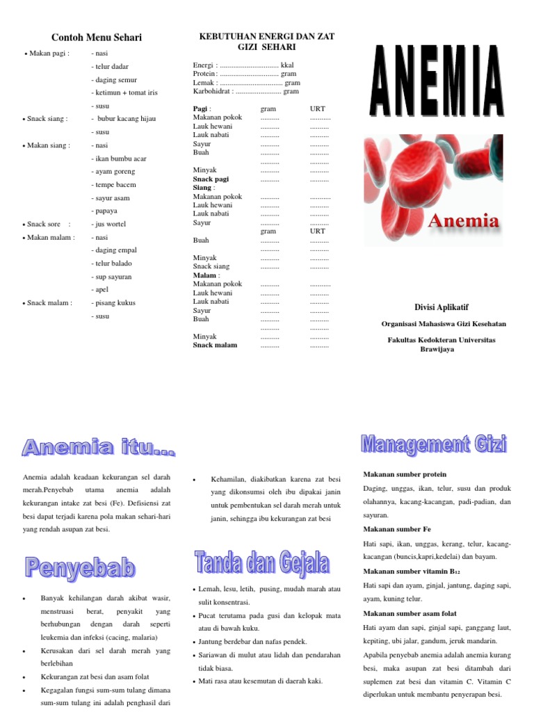 Leaflet Anemia | PDF
