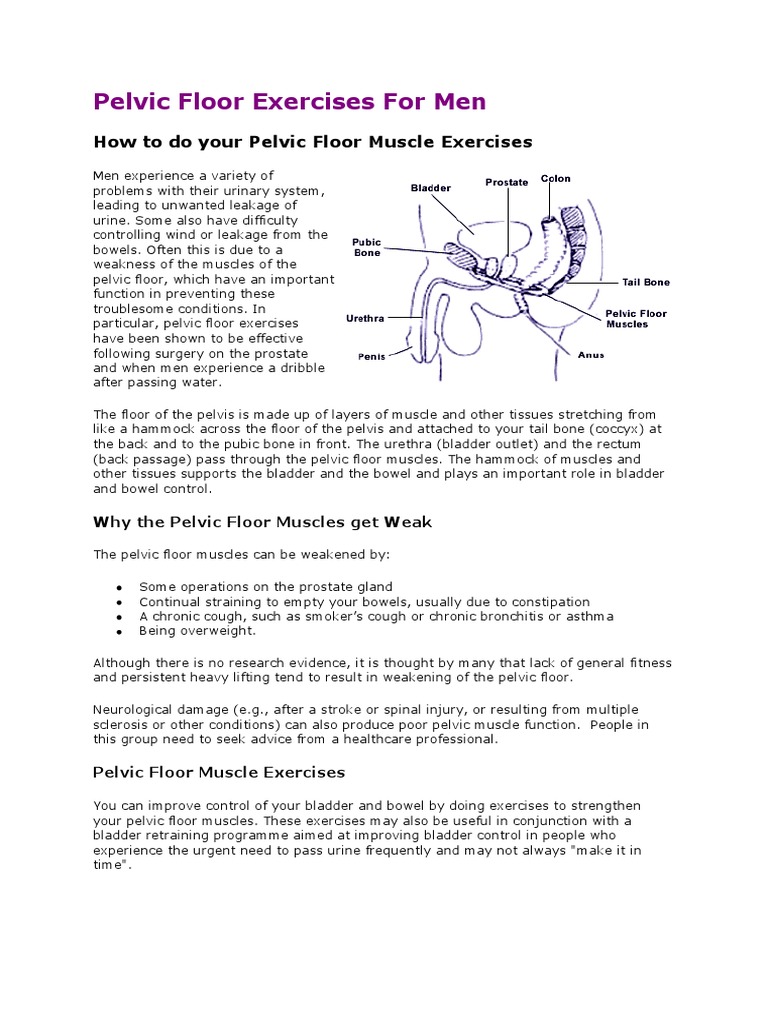 Strengthening the Pelvic Floor Muscles Through Regular Exercise: A ...