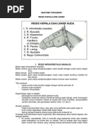 Regio Kepala Dan Leher Anatomi Topografi | PDF