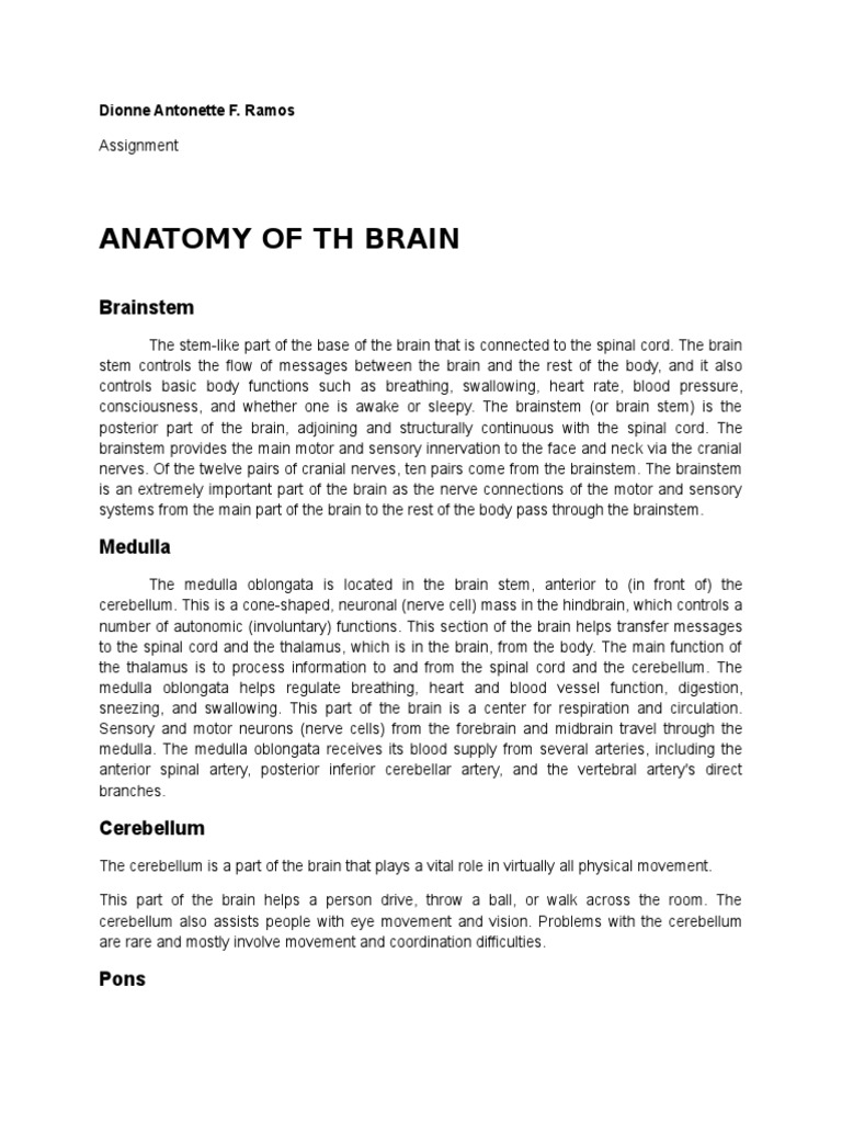 An In-Depth Look at the Major Structures and Functions of the Human ...
