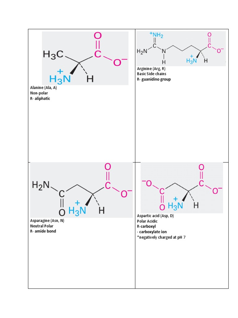 Arginine (Arg, R) Basic Side Chains R-Guanidino Group | PDF
