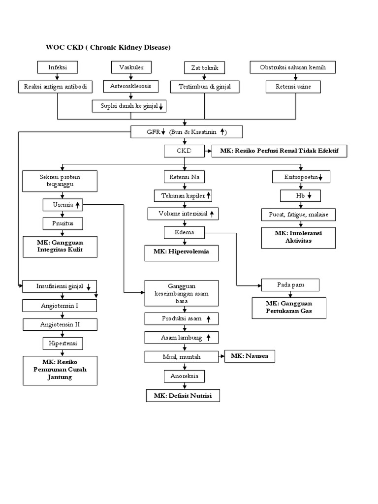 Pathway CKD | PDF