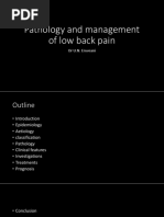 Scottie Dog Sign | PDF | Vertebra | Skeletal System