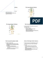 Spine Conditioning Program - OrthoInfo - AAOS | PDF | Anatomical Terms ...