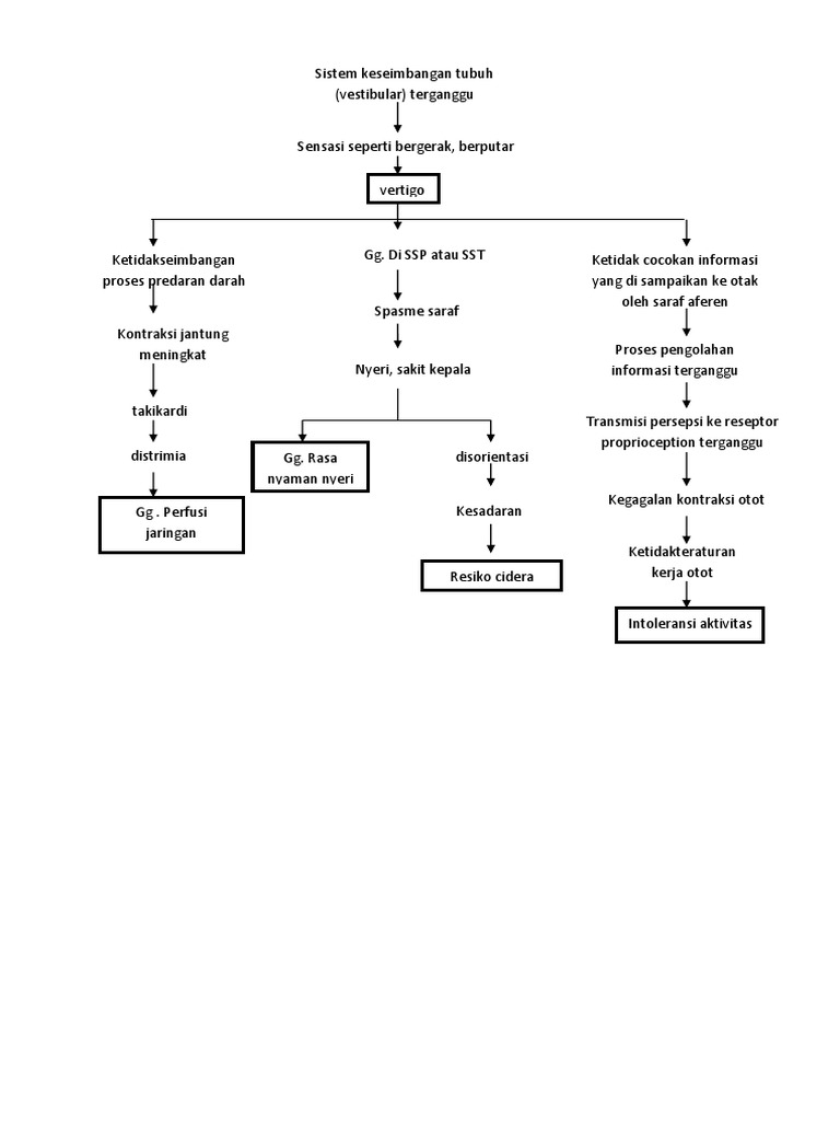 Pathway Vertigo | PDF