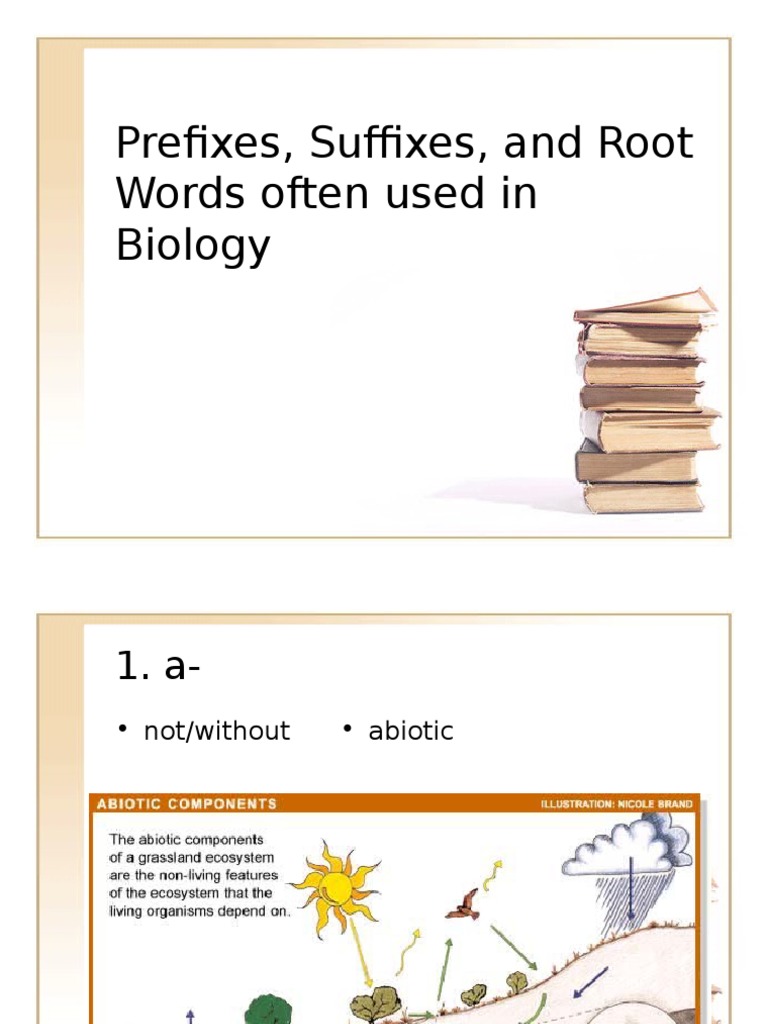 Prefixes, Suffixes, and Root Words Often Used in Biology | PDF ...