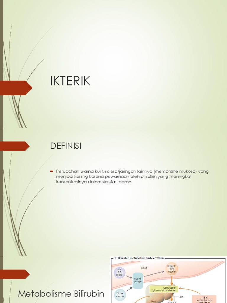 Ikterik Pdf Kesehatan Holistik