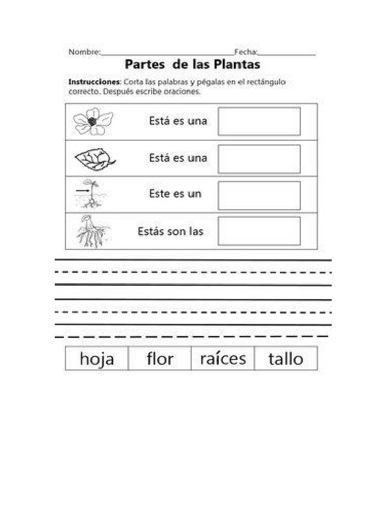 Adaptaciones de Las Plantas | PDF