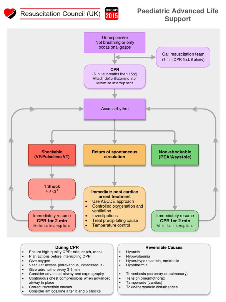 Paediatric Advanced Life Support Guidelines | PDF | Wellness