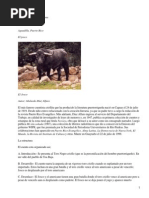 en El Fondo Del Caño Hay Un Negrito - Lectura y Comp. | PDF | Poesía