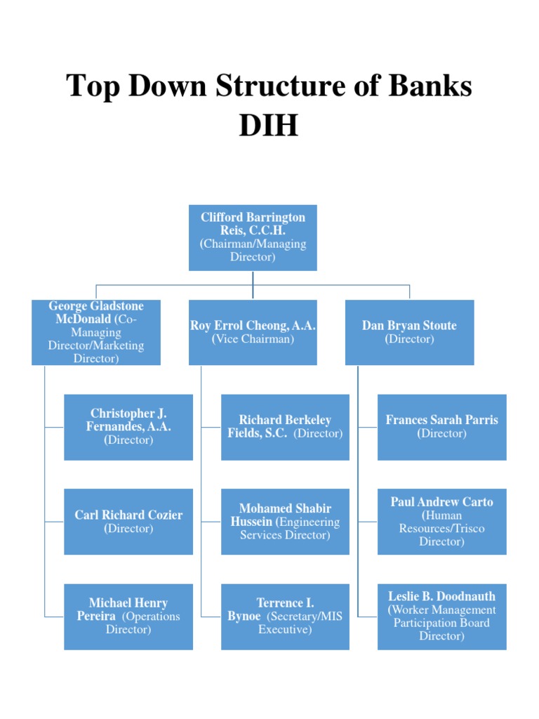 Top Down Structure of Banks DIH | PDF