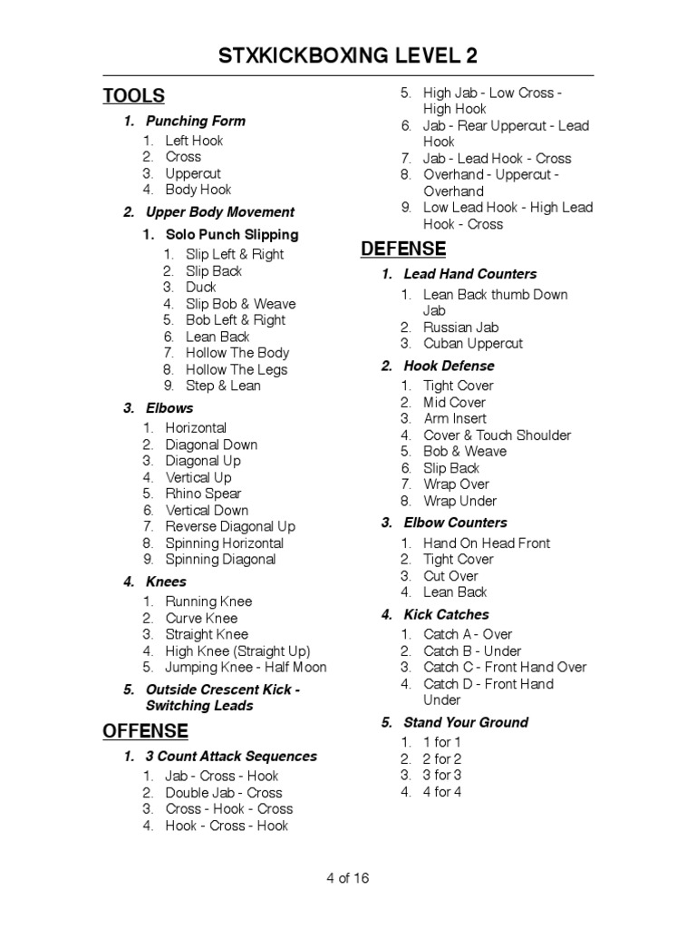 Advanced Kickboxing Techniques and Combinations | PDF | Combat Sports ...