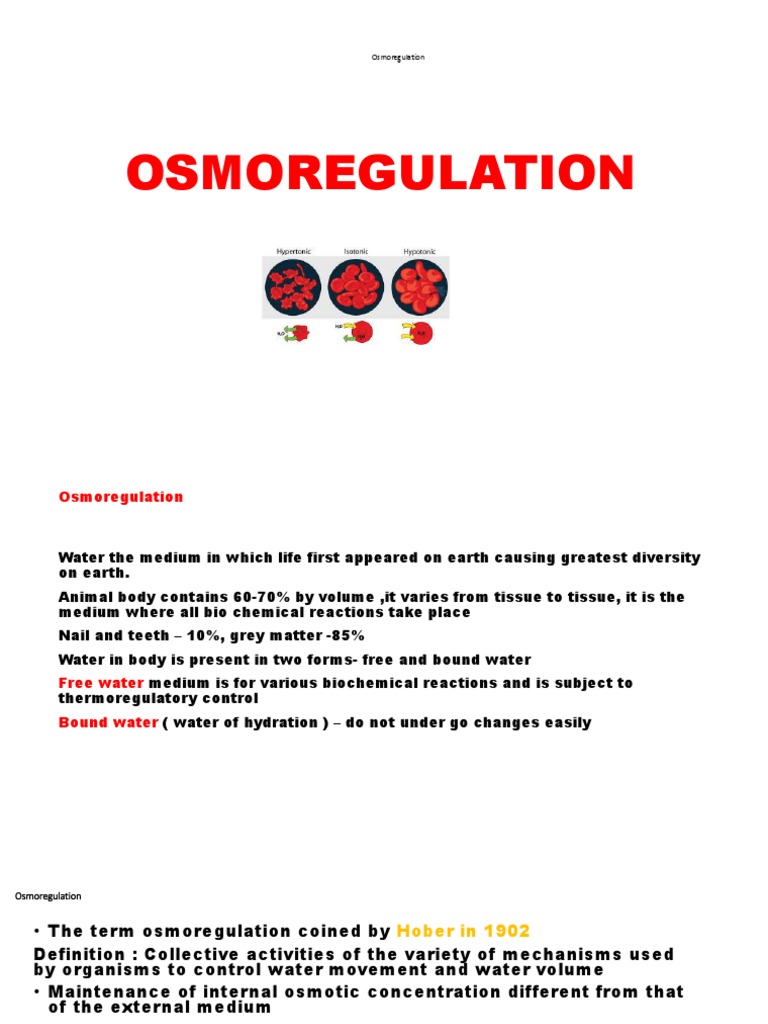 OSMOREGULATION | PDF | Nature