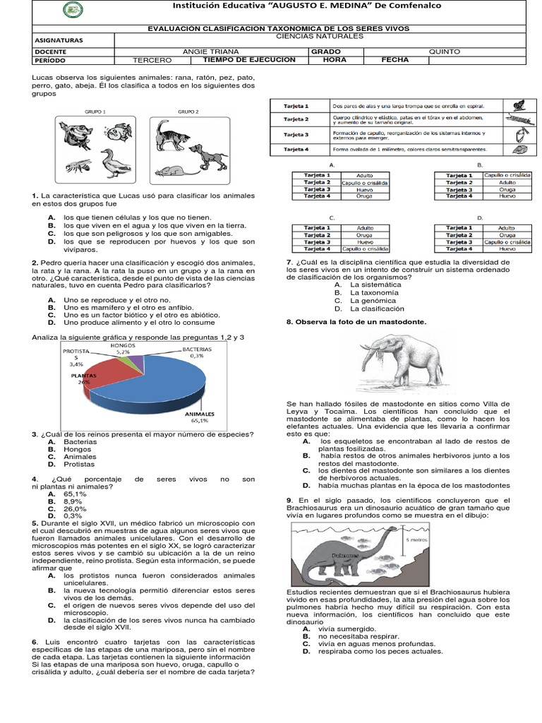 Evaluación Taxonomia | PDF | Dinosaurios | Plantas