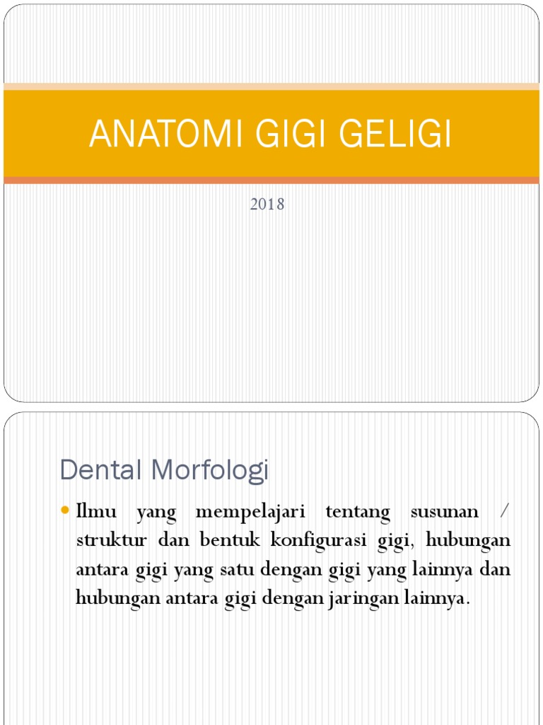 ANFIS 11. Anatomi Gigi Geligi | PDF