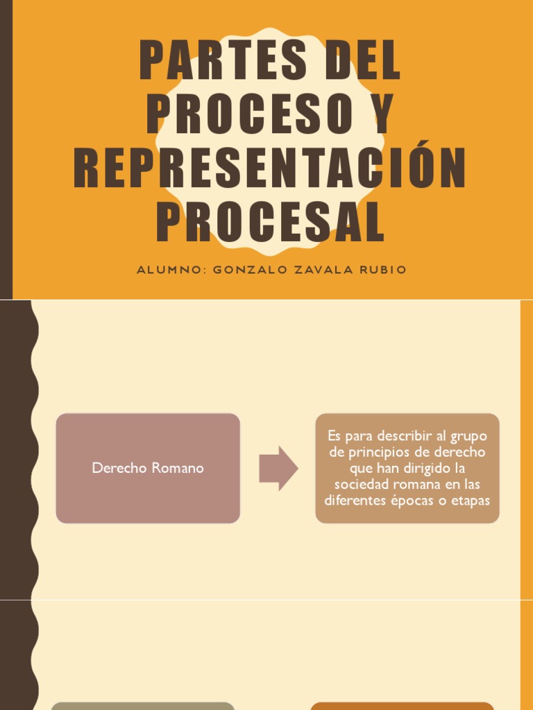 Partes Del Proceso | PDF | Ley procesal | Esfera pública