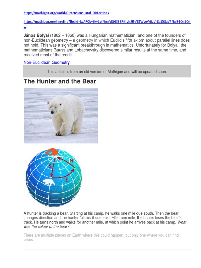 BOLYAI Non-Euclidean Geometry | PDF | Hyperbolic Geometry | Sphere