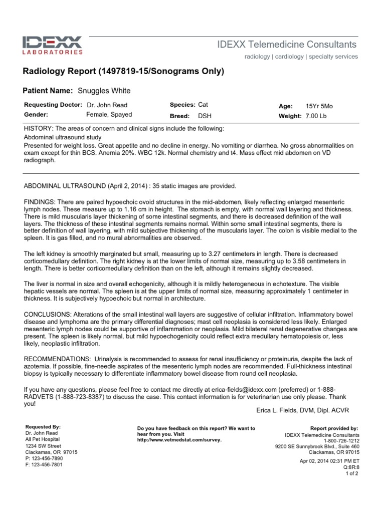 Radiology Report (1497819-15/sonograms Only) : IDEXX Telemedicine ...