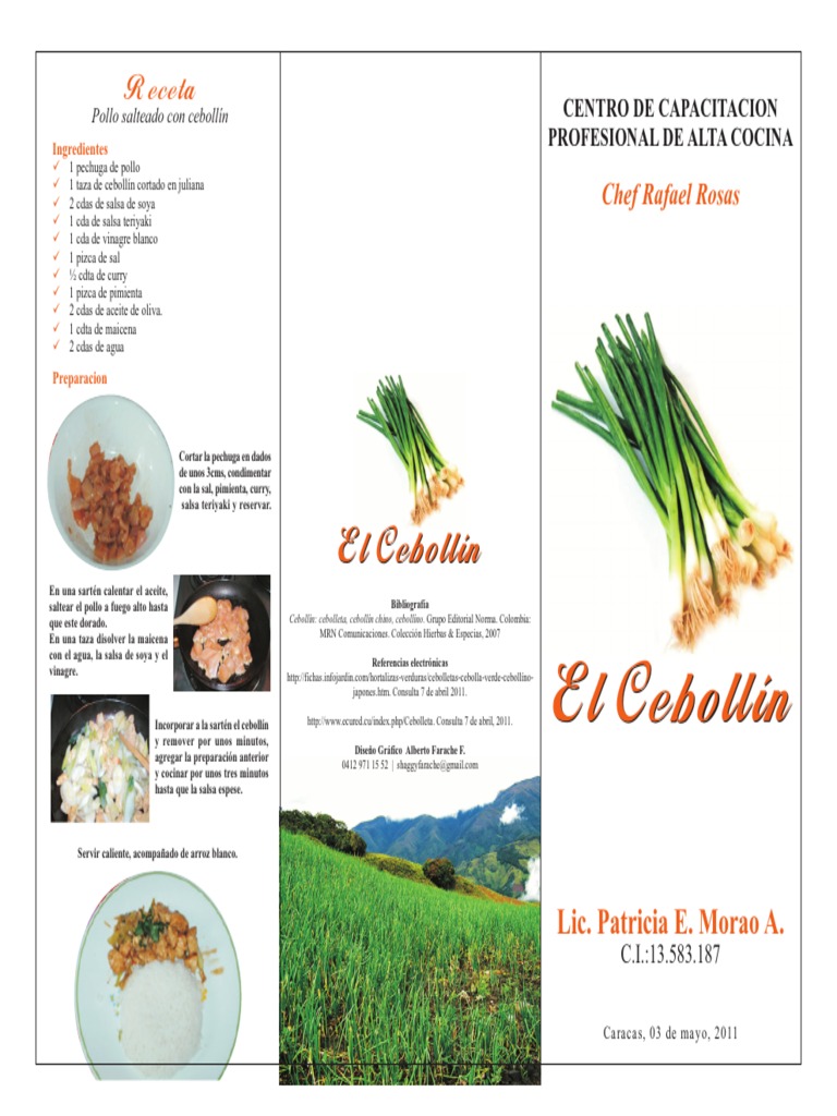 Triptico - El Cebollin | PDF | Salsa | Curry